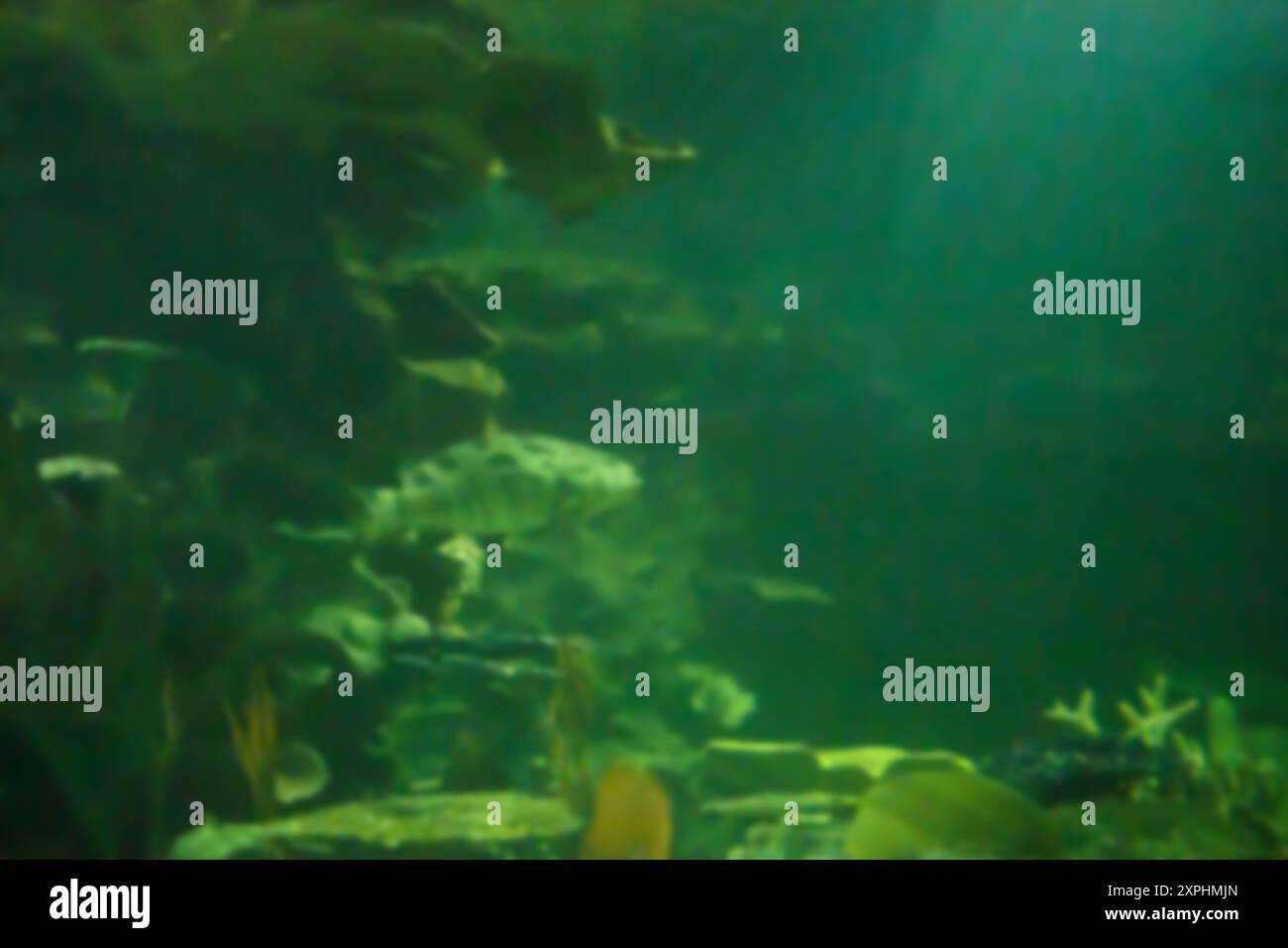 Underwater ocean abstract blur for background Stock Photo - Alamy