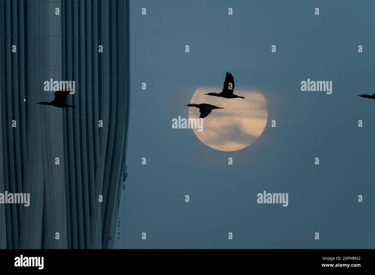 Central bank of iraq in baghdad hi-res stock photography and images - Alamy