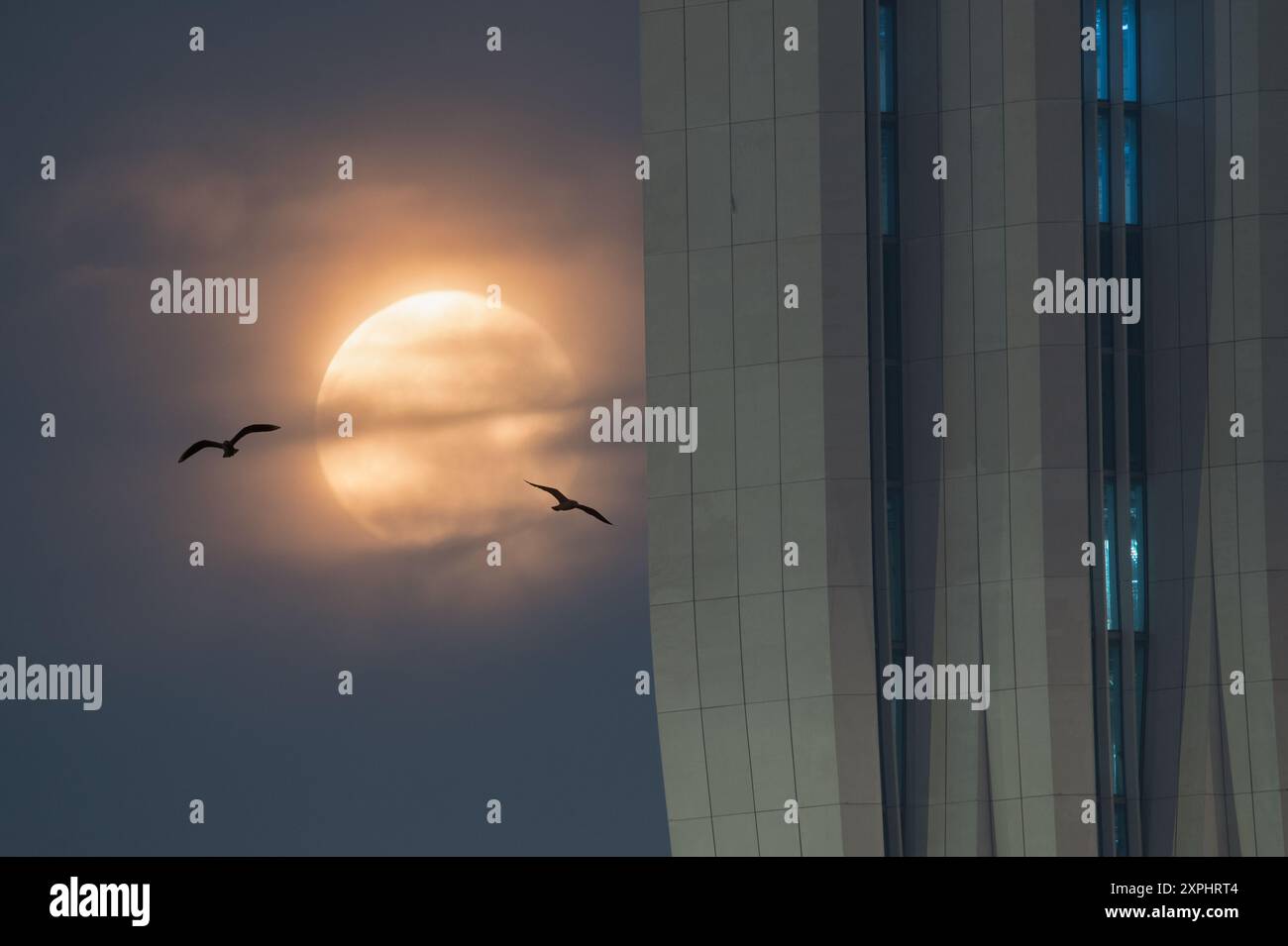 Central bank of iraq in baghdad hi-res stock photography and images - Alamy