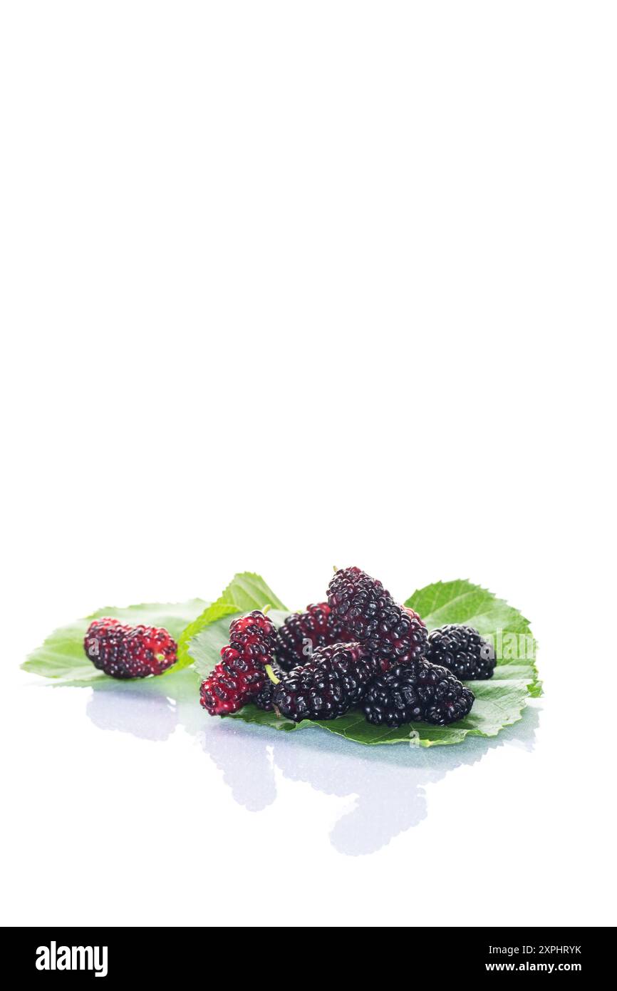 Black mulberries Cut Out Stock Images & Pictures - Alamy