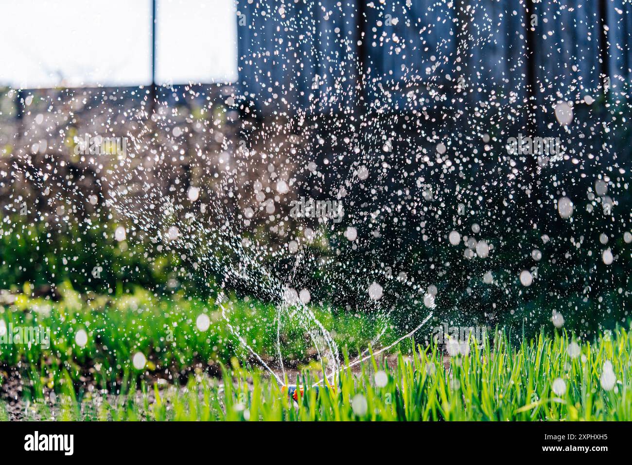 Garden sprinkler dispersing water droplets, creating a sparkling effect ...