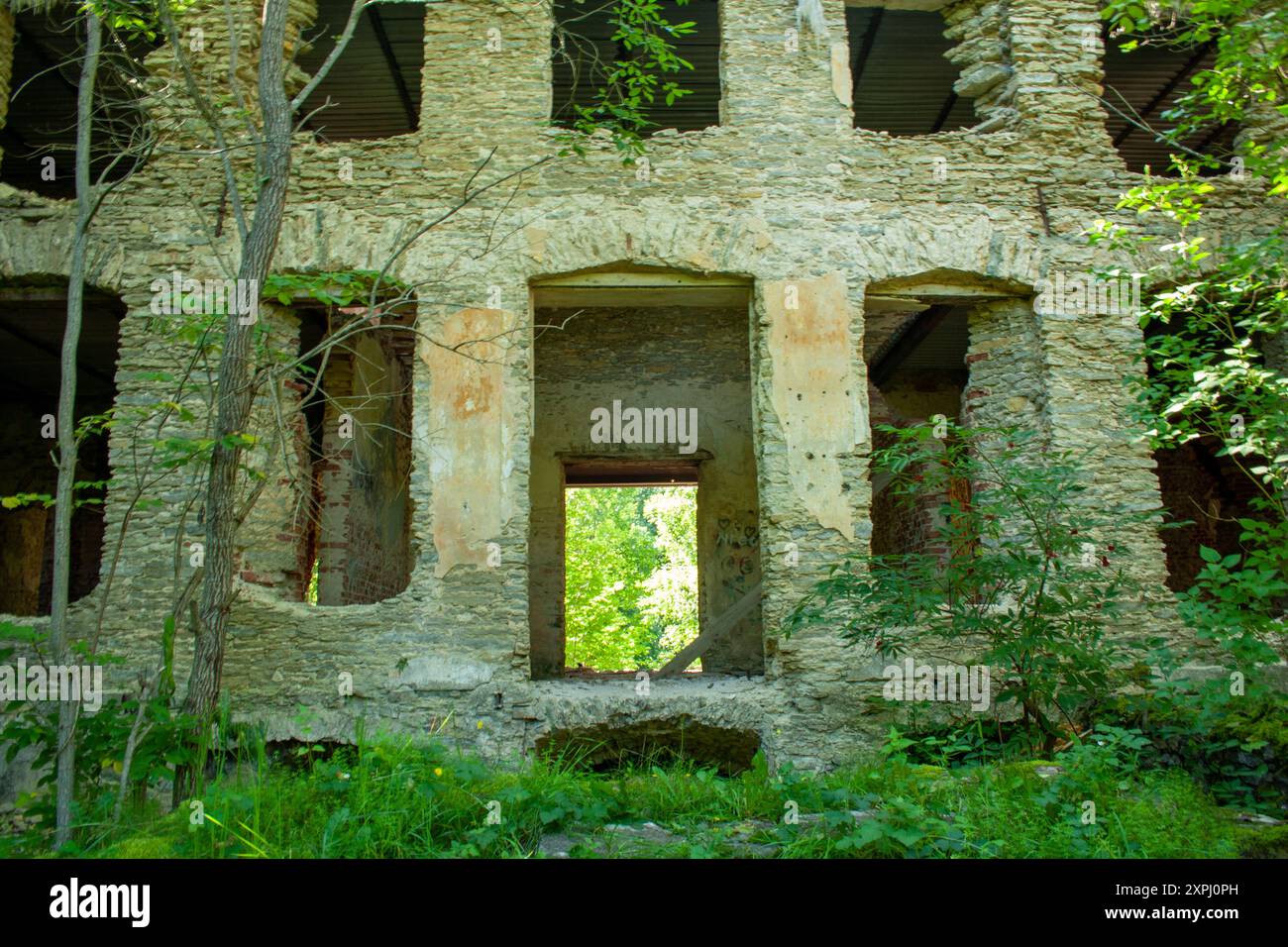Abandoned Stone Building Overgrown With Greenery and Vegetation Stock ...