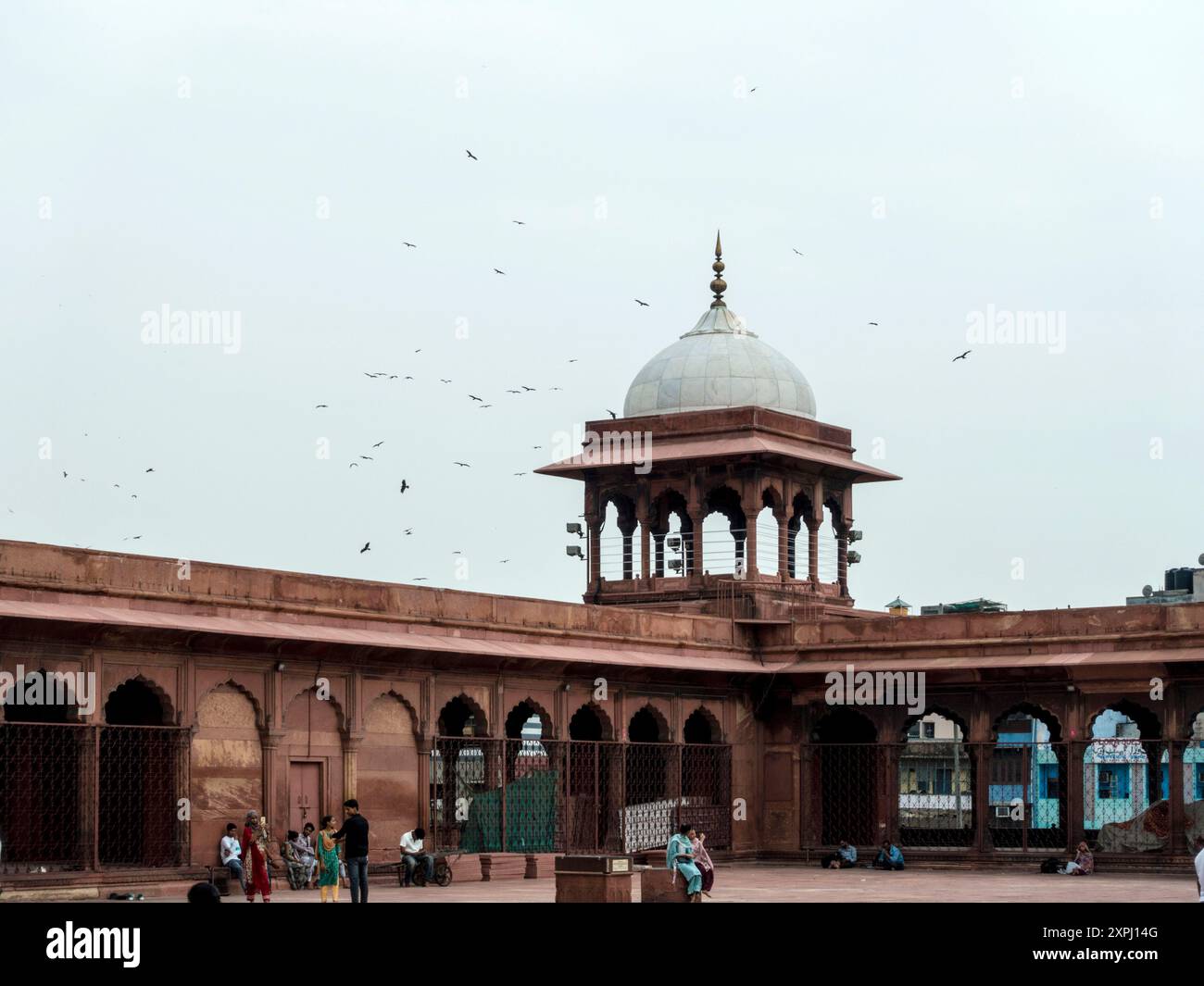 Jama Masjid mosque in Delhi/India Stock Photo - Alamy