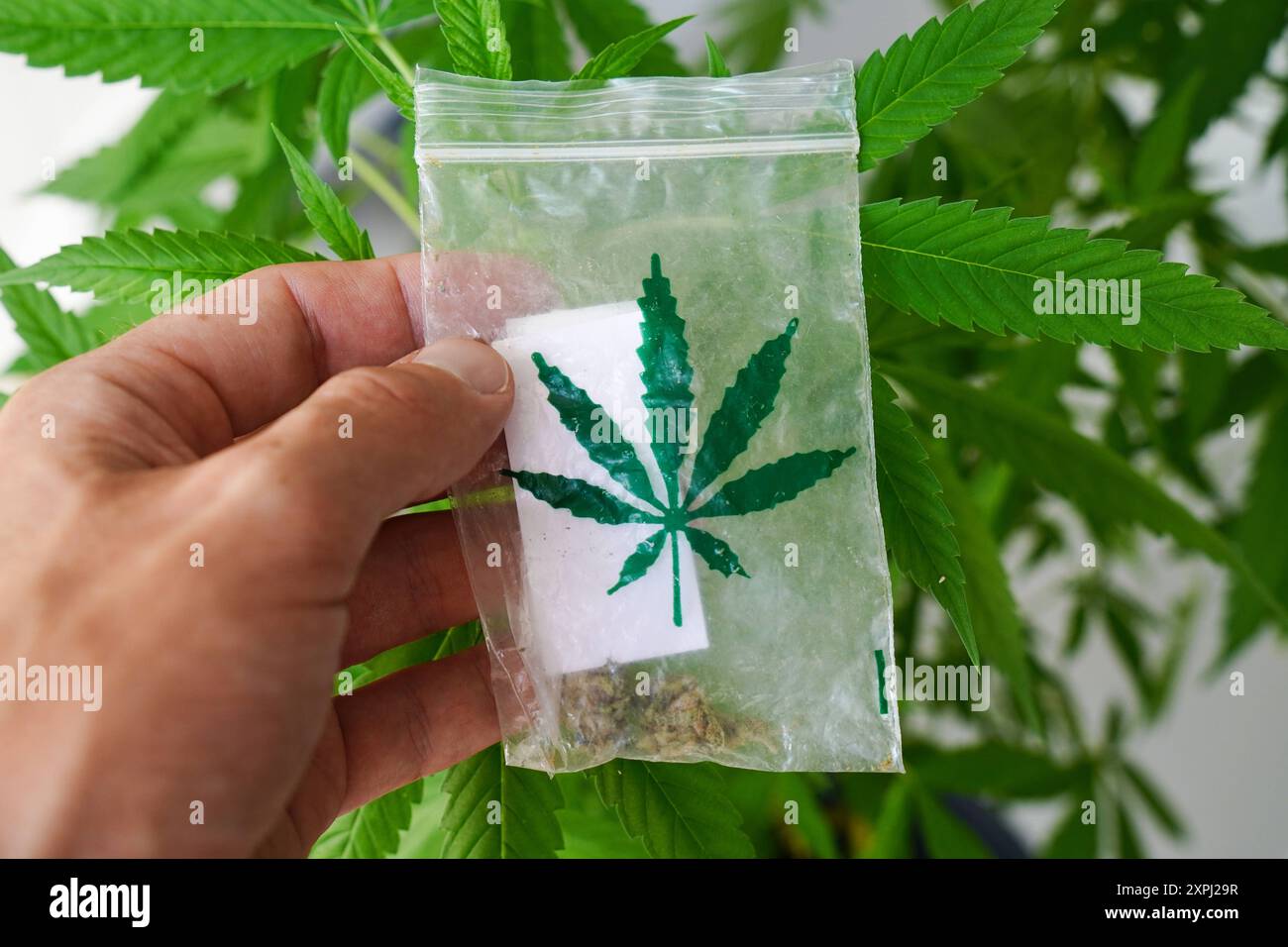 Deutschlag hi-res stock photography and images - Alamy