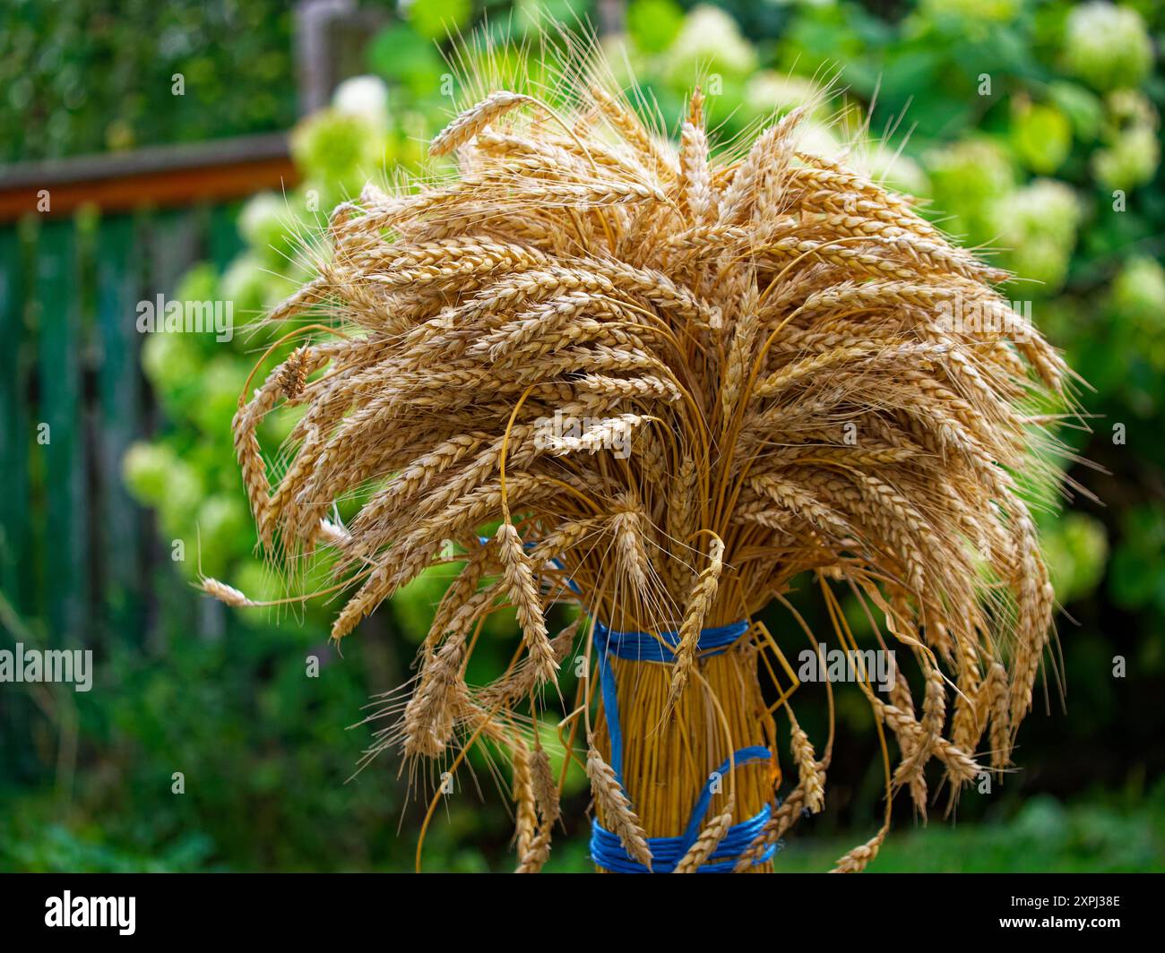 Backdrop farming hi-res stock photography and images - Alamy