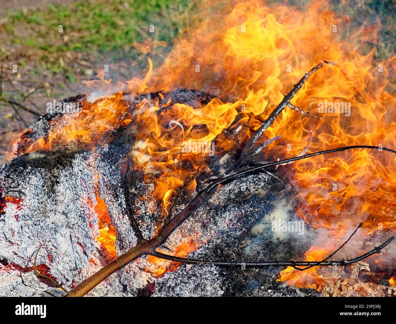The fire appears to be a controlled burn of collected debris Stock ...