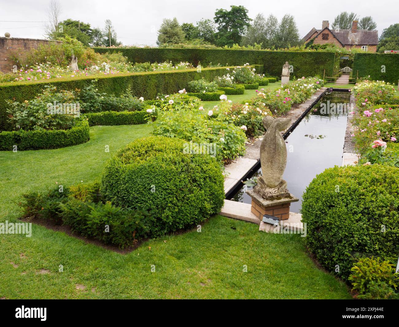 The Renaissance Garden, David Austin Roses Nursery Stock Photo - Alamy