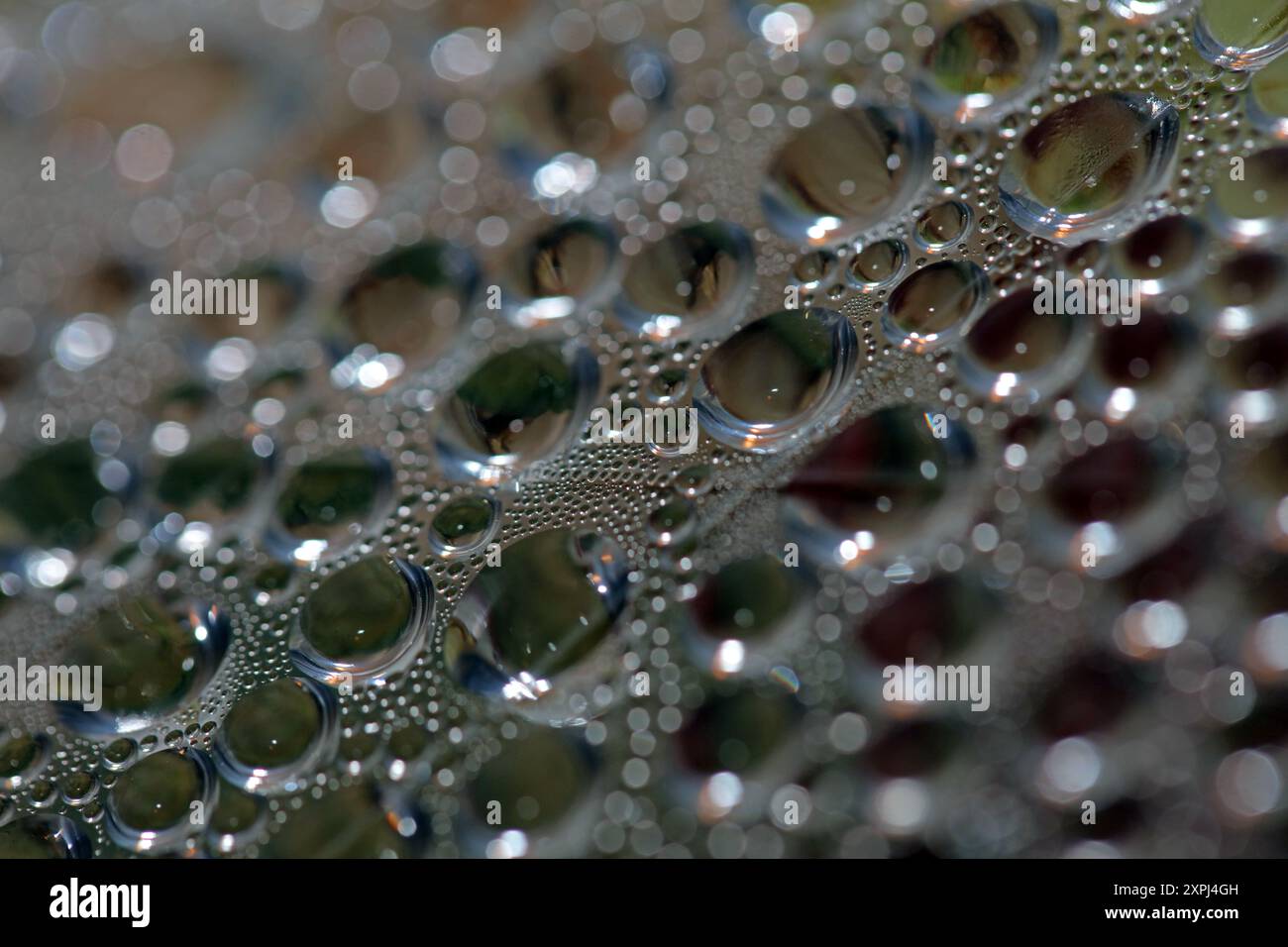 Water humidity drops bubbles macro on water colorful background liquid ...