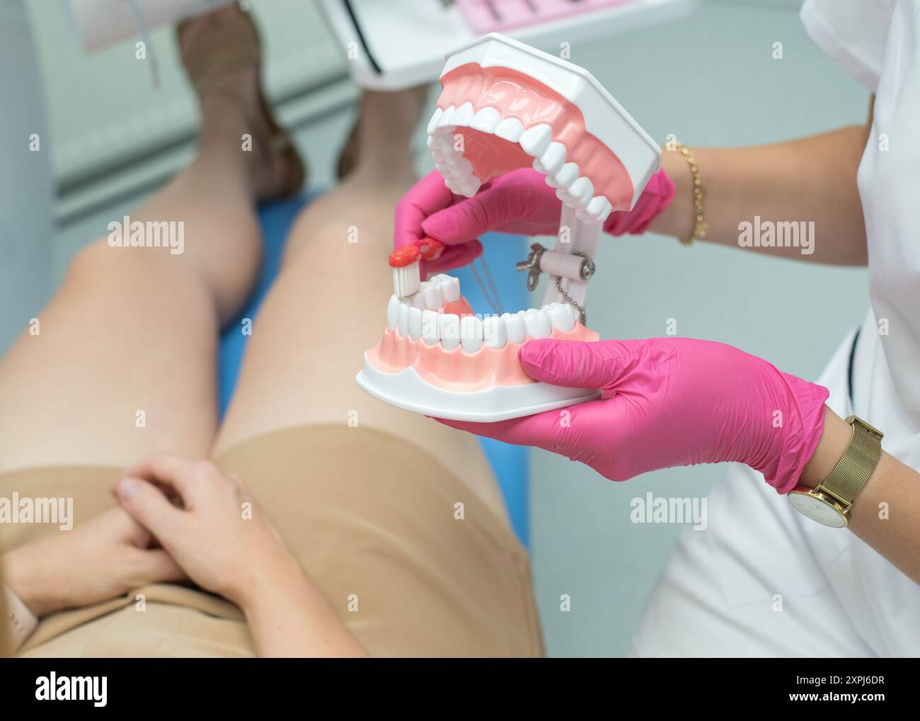 Dentist demonstrating proper brushing technique on a dental model Stock Photo - Alamy