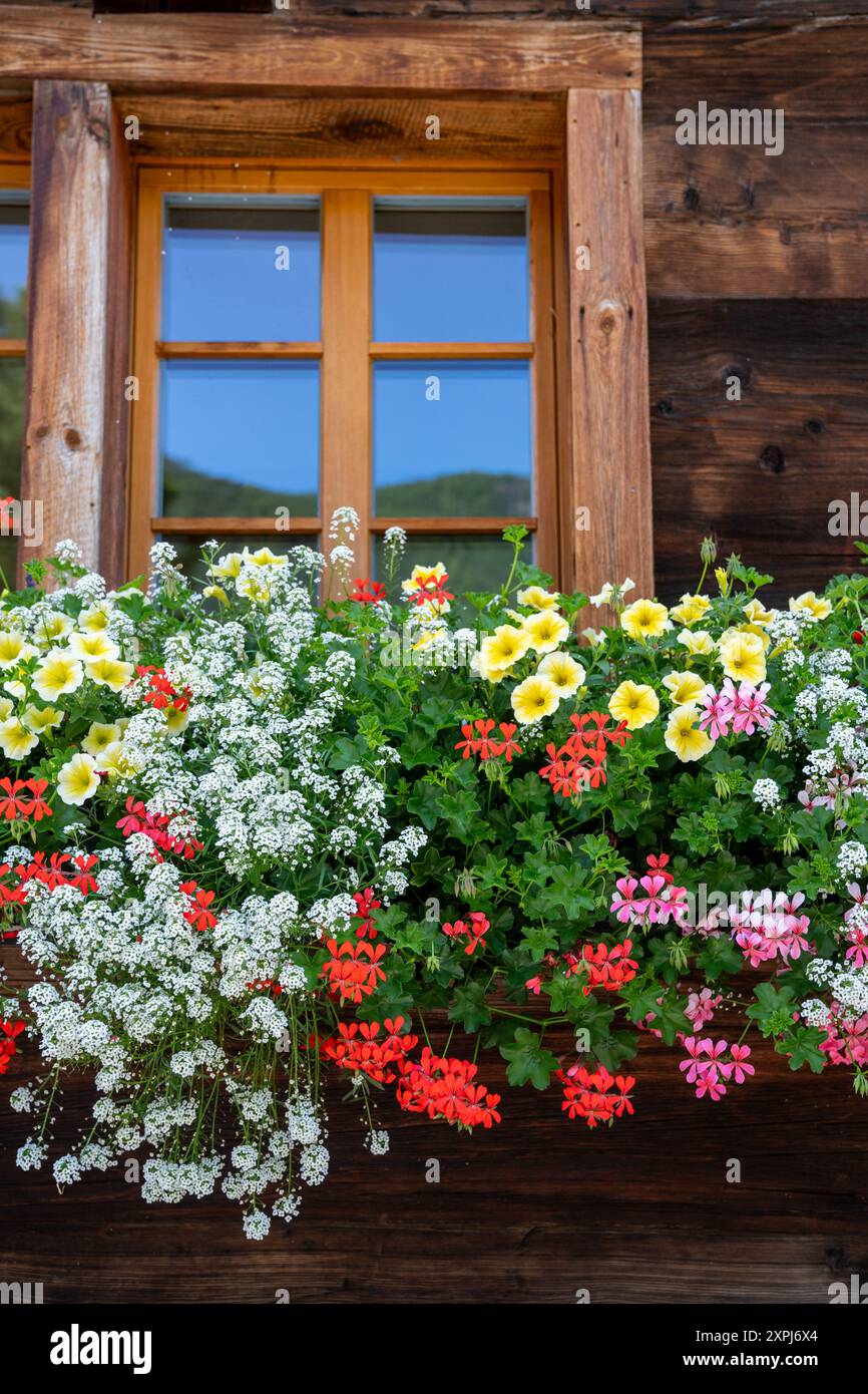 Picturesque rustic chalet window with flowers in flower box in Zermatt, Switzerland, during ...