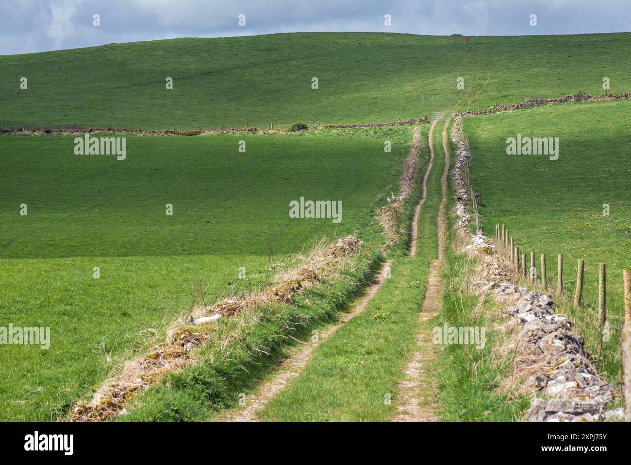 A single farm track winding into the distance over green fields near ...