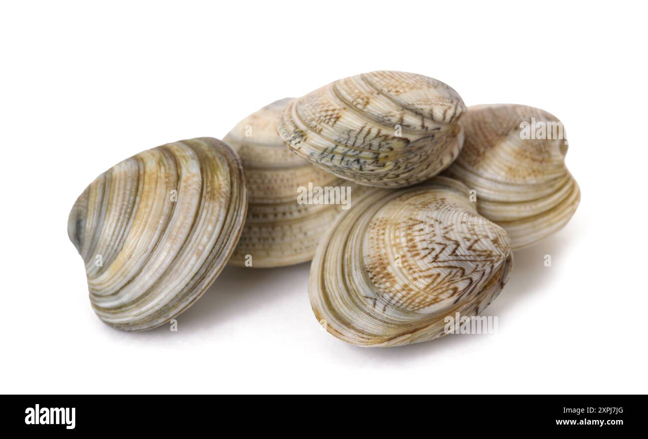 Clams group isolated on white background Stock Photo - Alamy