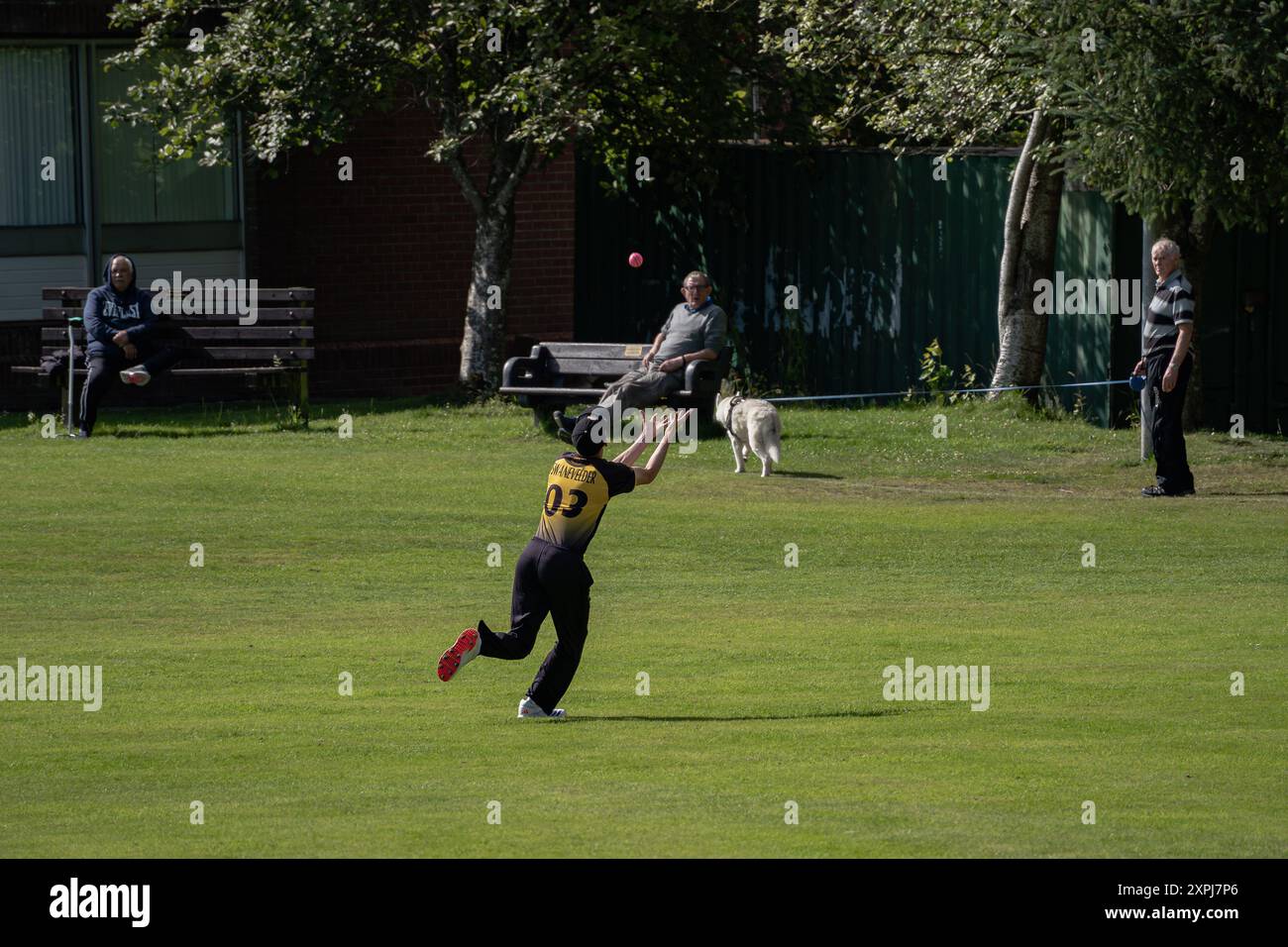 Cricket diving hi-res stock photography and images - Alamy