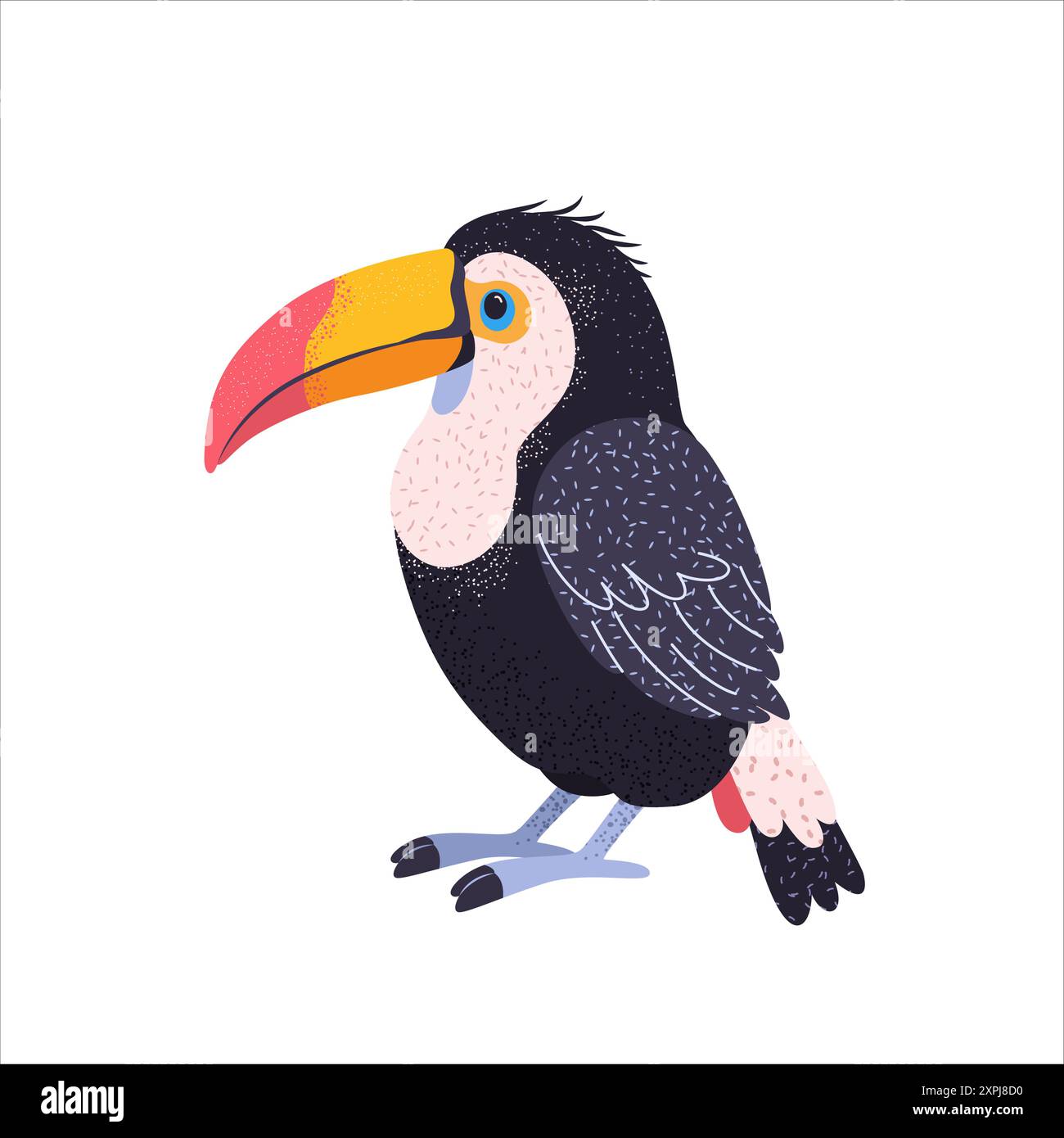 Toucan bird hand drawn Stock Vector Images - Alamy