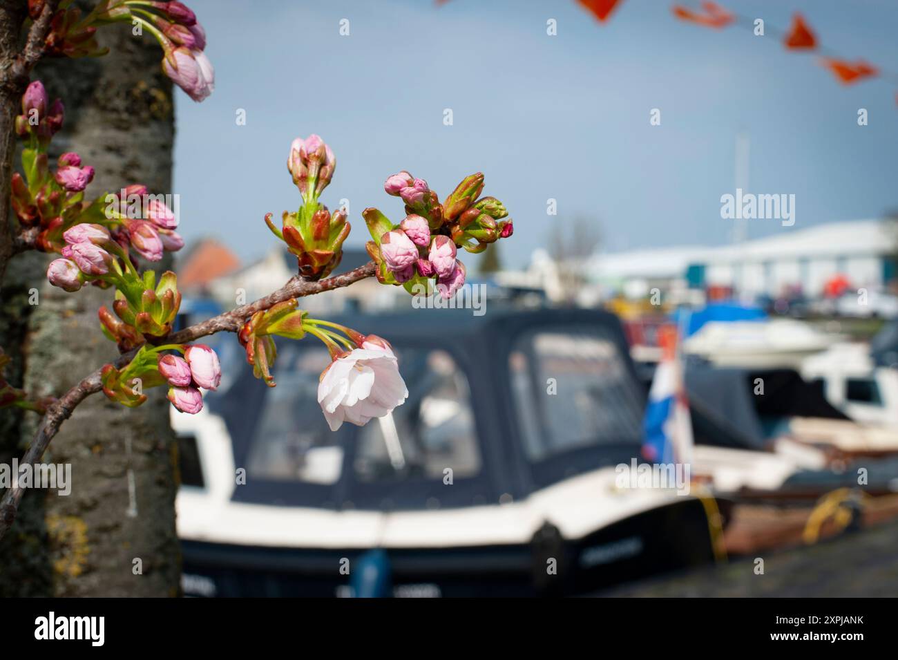 Kirsche am hafen hi-res stock photography and images - Alamy