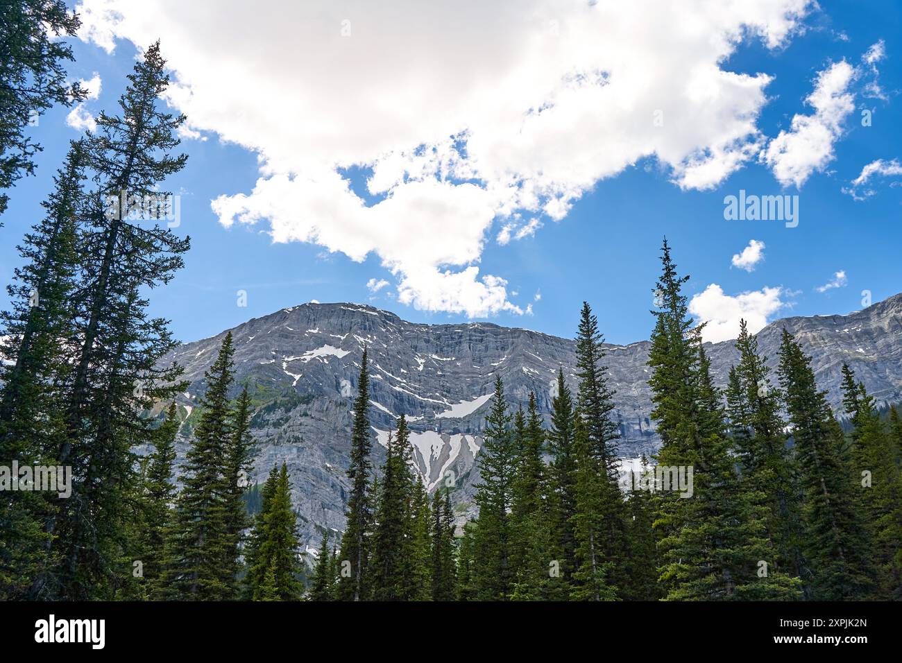 The rocky mountains of Alberta are surrounded by coniferous forests on ...
