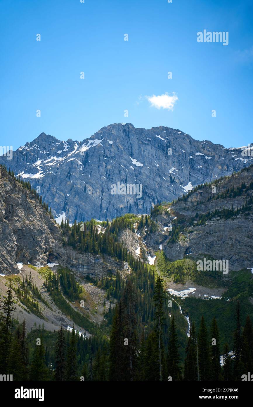 The rocky mountains of Alberta are surrounded by coniferous forests on ...