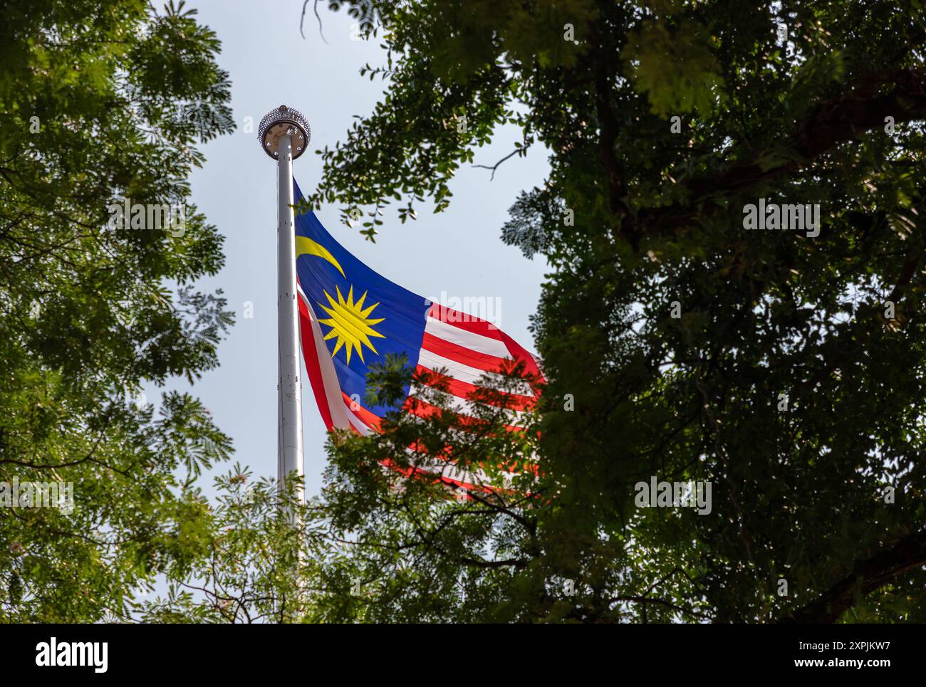 A picture of the Malaysian flag as seen through nearby tree branches ...