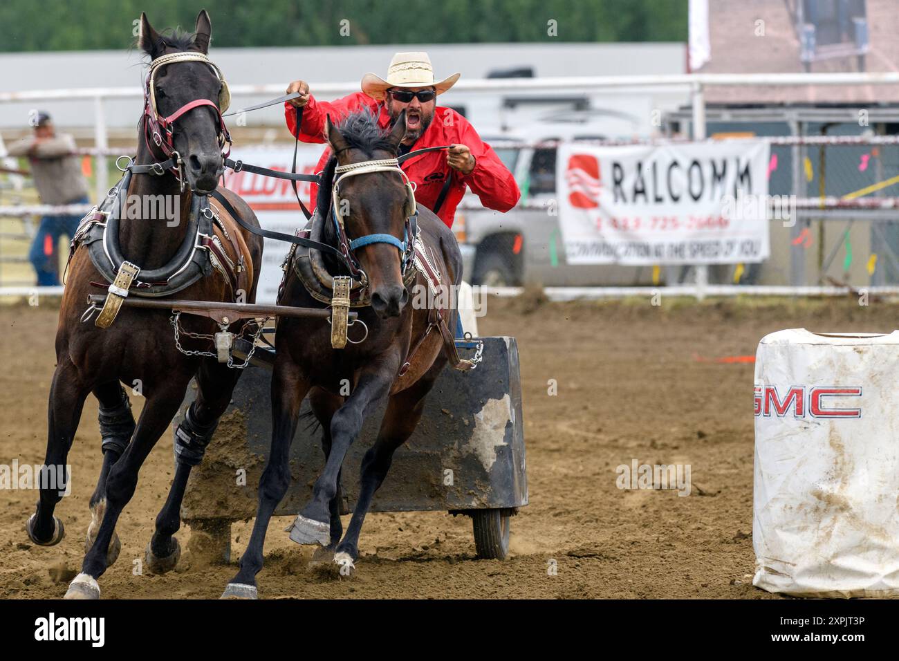 Horse cart races (Chariot race) at the Neyaskweyahk Native Classic held ...
