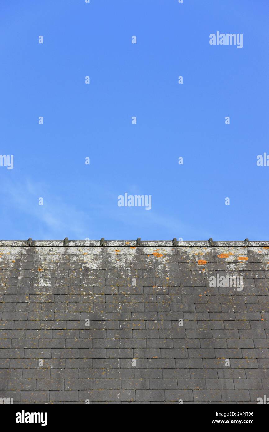 Slate roof ridge tiles and blue sky in Lincolnshire,England uk Stock ...