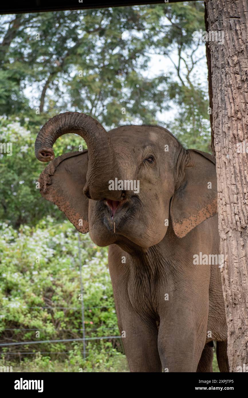Me and the open water hi-res stock photography and images - Alamy