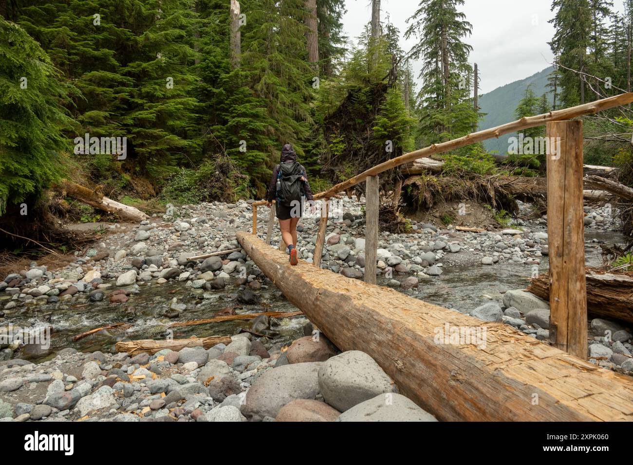Hiker In Rain Gear Crosses Newly Made Log Bridge Along Carbon River in ...