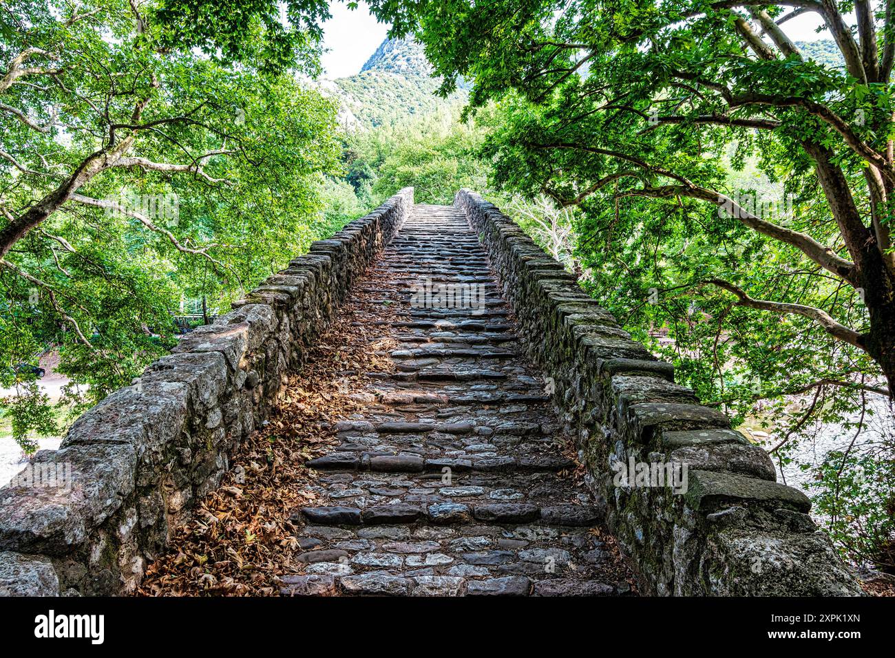 The old stone bridge in Pyli village, Thessaly, Greece, features a semi ...