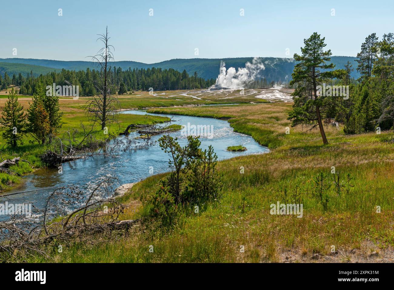 Castle geyser eruption and volcanic activity, Yellowstone national park ...
