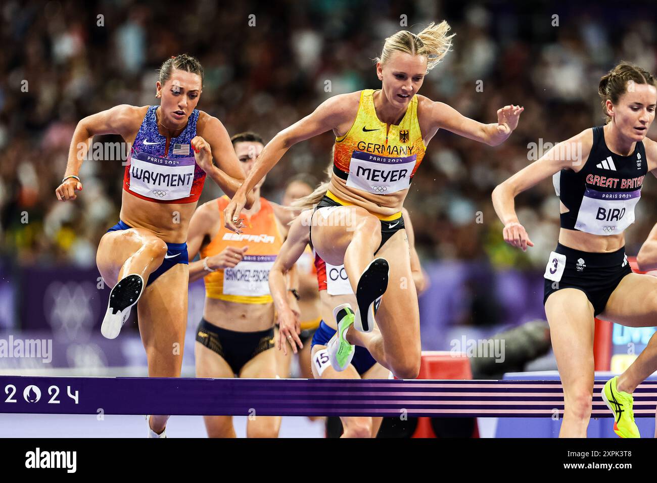 Elizabeth bird 2024 hi-res stock photography and images - Alamy