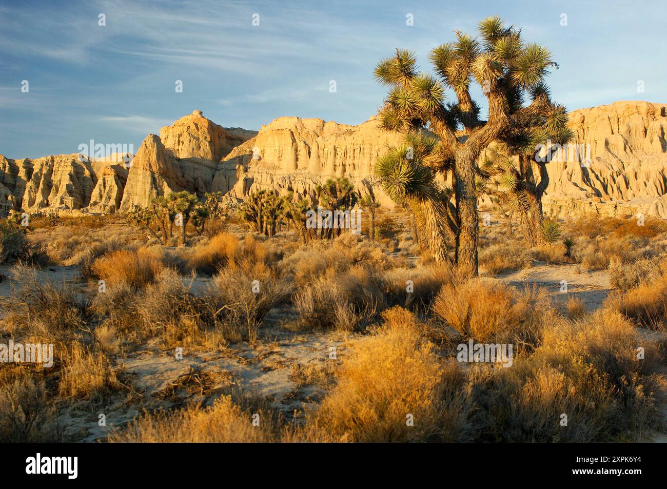 Badlands and Joshua Trees, Red Rock Canyon State Park, California ...