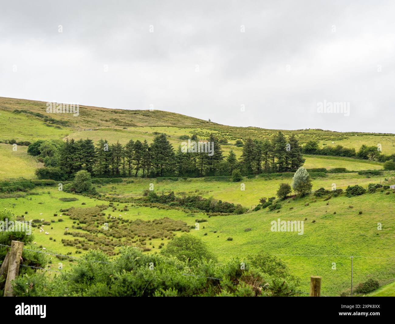 Gortin hi-res stock photography and images - Alamy