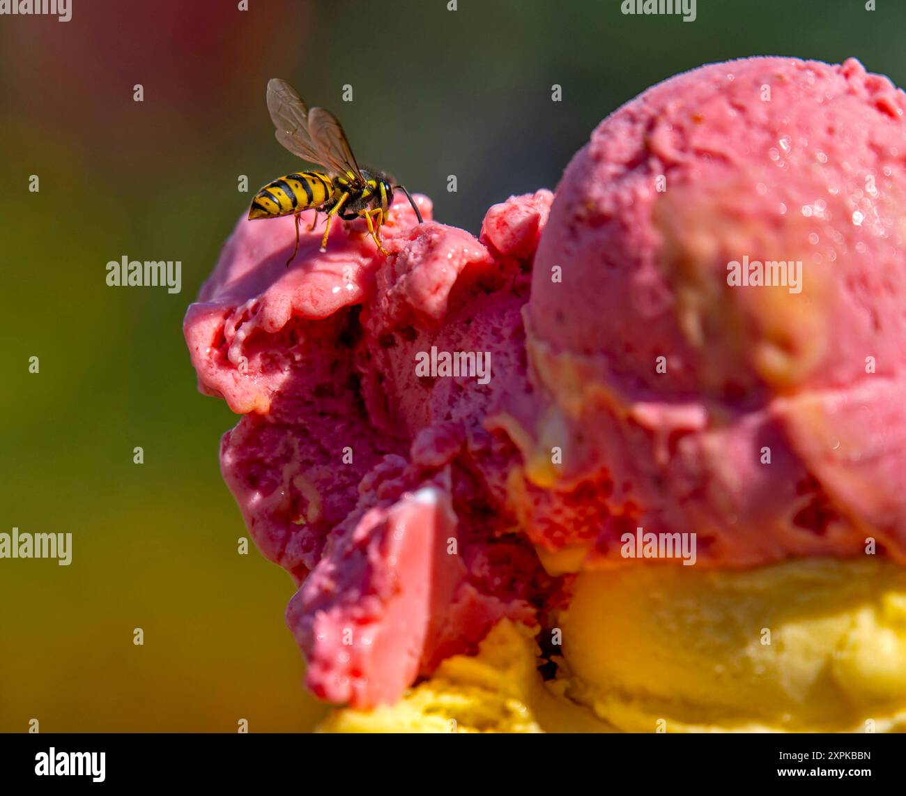 Milch mit eis hi-res stock photography and images - Alamy