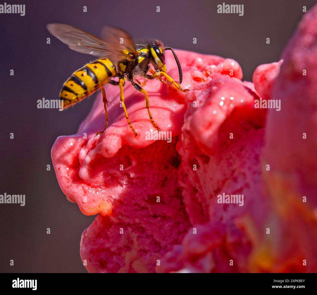 Milch mit eis hi-res stock photography and images - Alamy