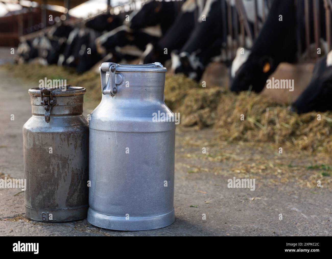 Aluminum milk cans standing outdoors in open cowshed Stock Photo - Alamy