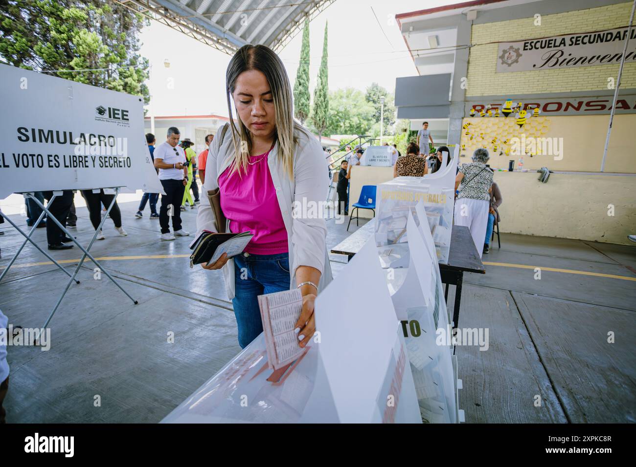 A person places their ballot into the box at an electoral station set ...