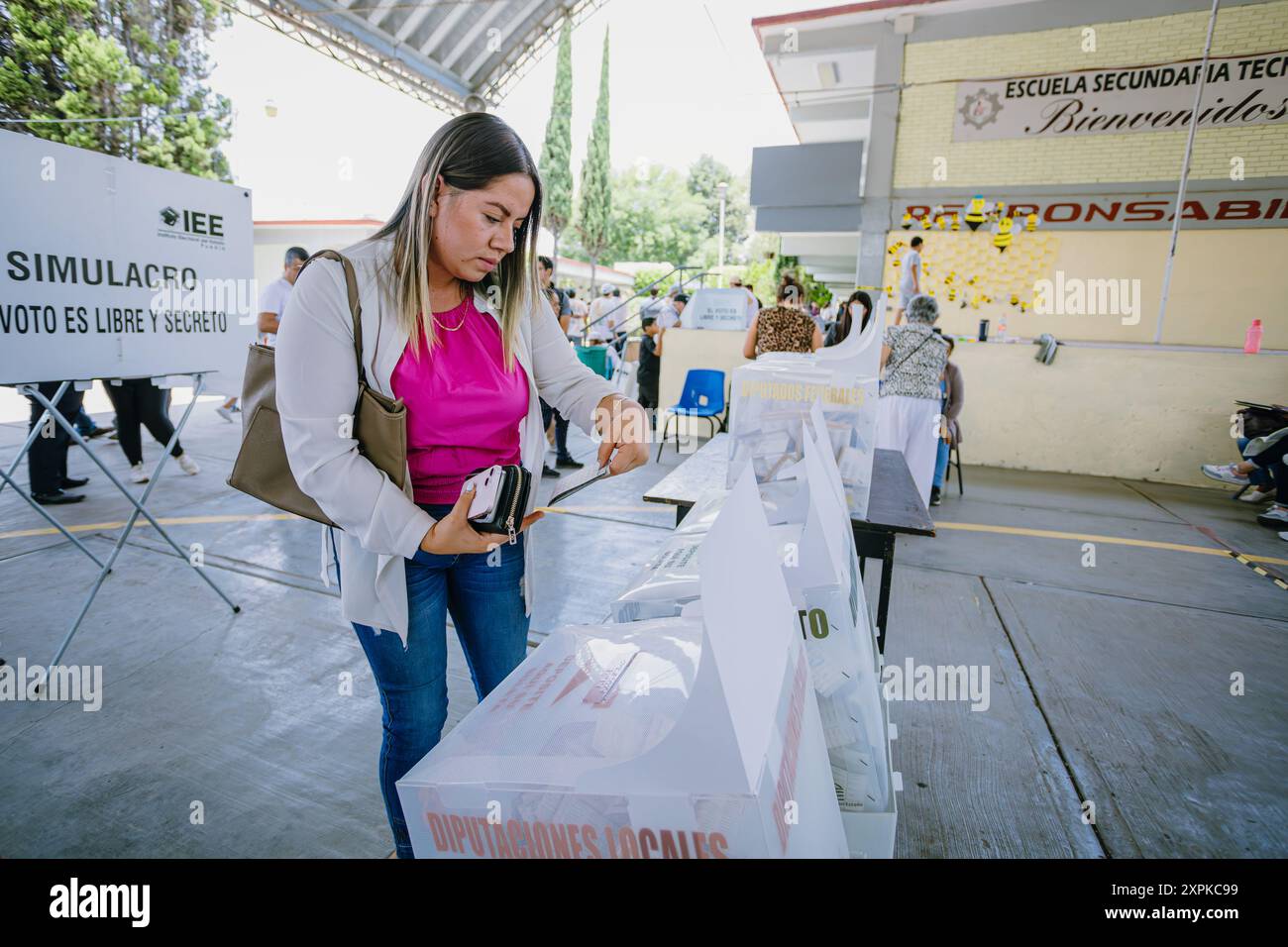 A person places their ballot into the box at an electoral station set ...