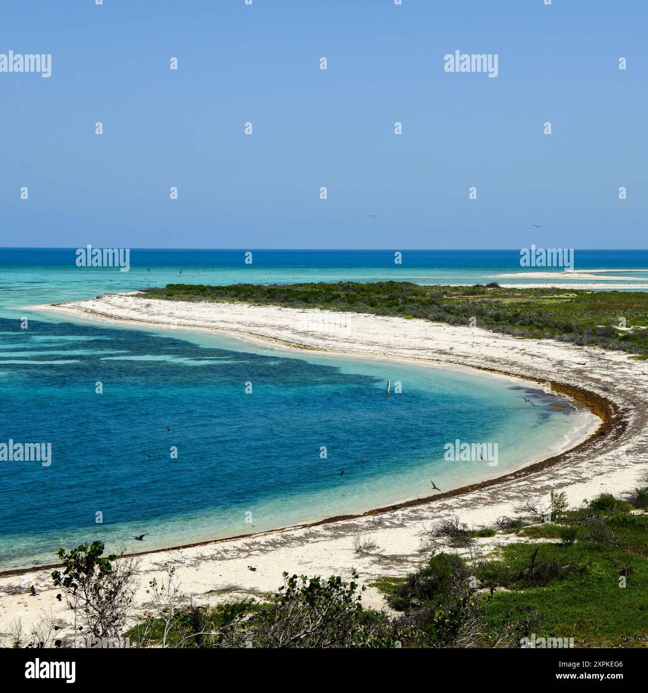 Beach at Dry Tortugas, Florida Stock Photo - Alamy
