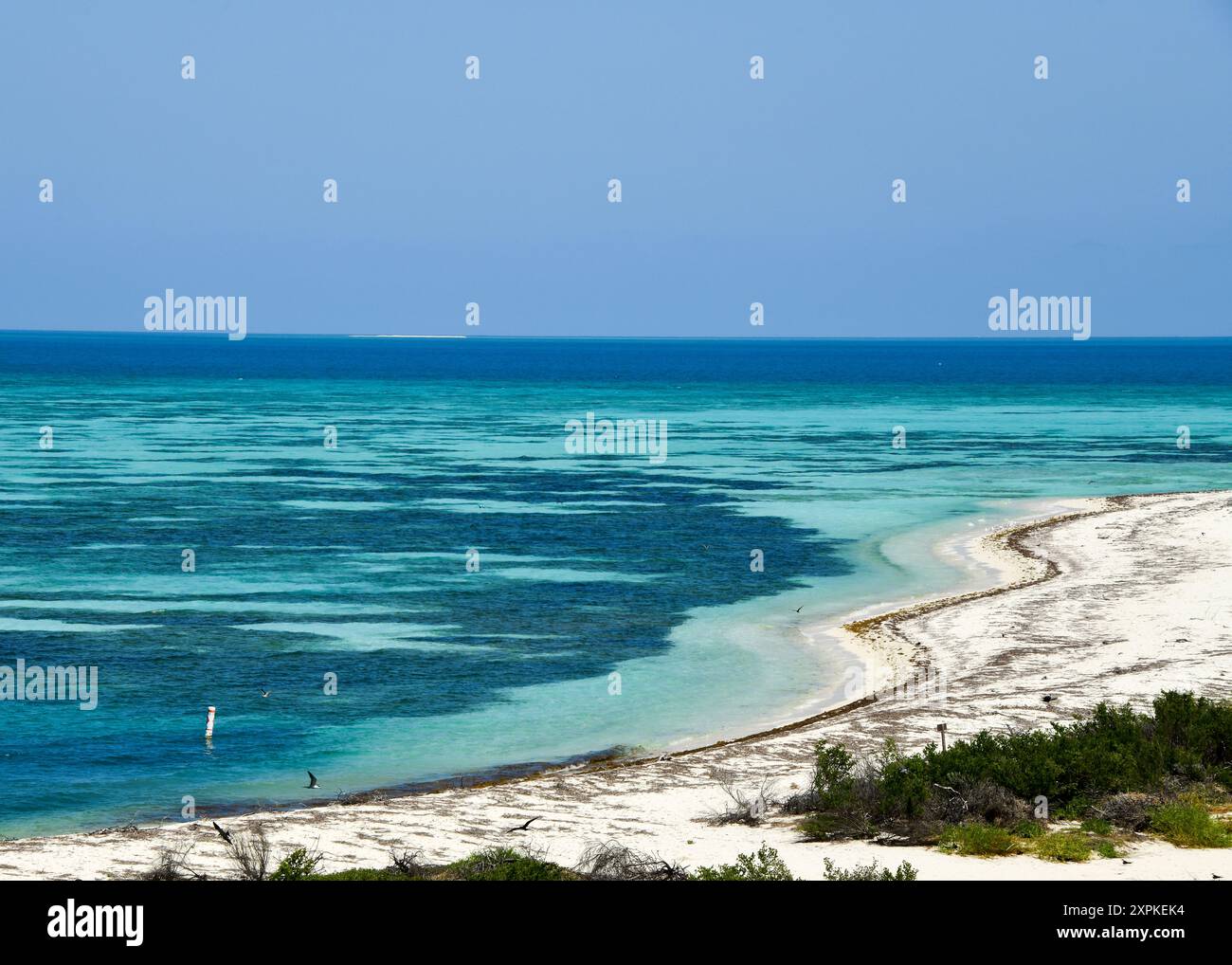 Beach at Dry Tortugas, Florida Stock Photo - Alamy