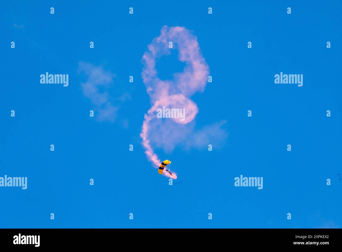 A member of the U.S. Army Parachute Team, the Golden Knights, flies the ...