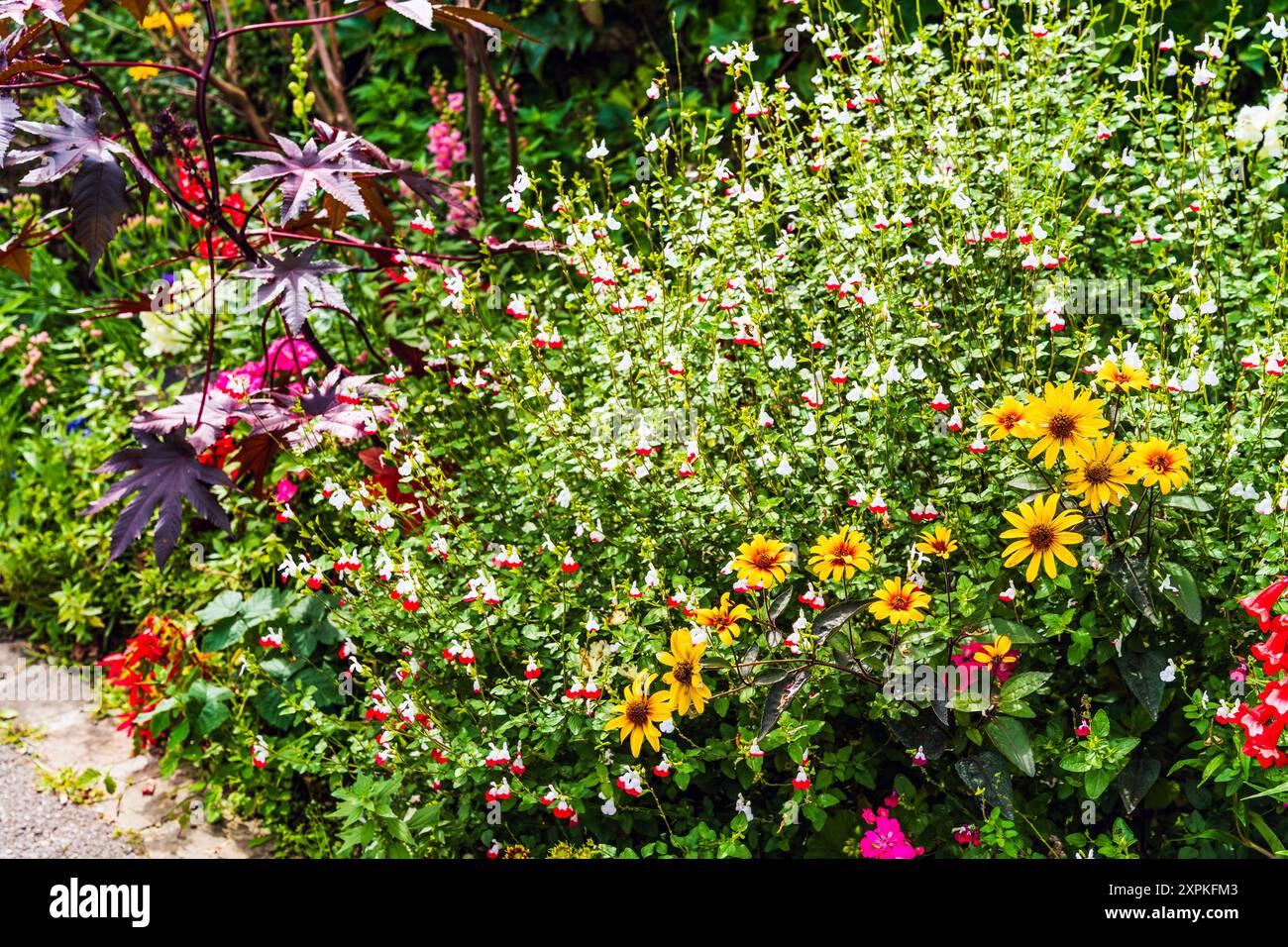 Colorful garden in the French Impressionist painter Claude Monet's ...