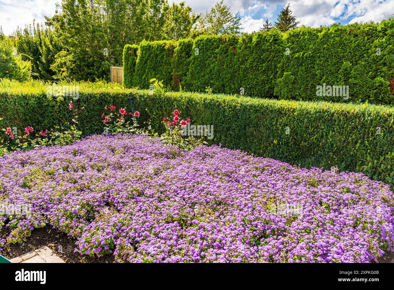 Colorful garden in the French Impressionist painter Claude Monet's ...
