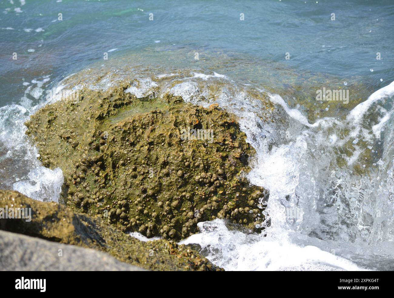 Waves crash on rock jetty hi-res stock photography and images - Alamy