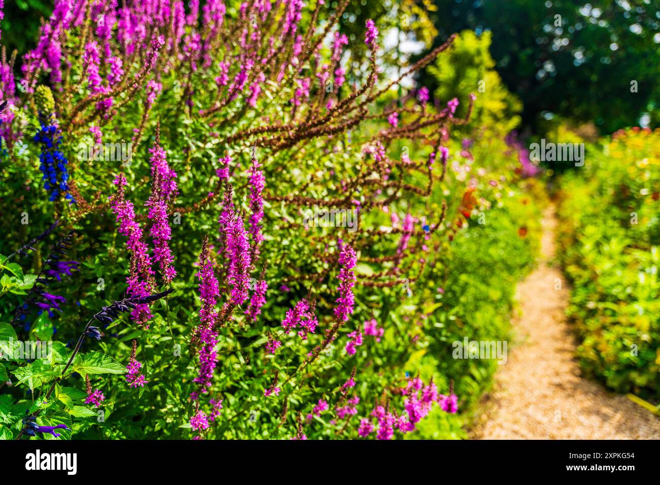 Colorful garden in the French Impressionist painter Claude Monet's ...