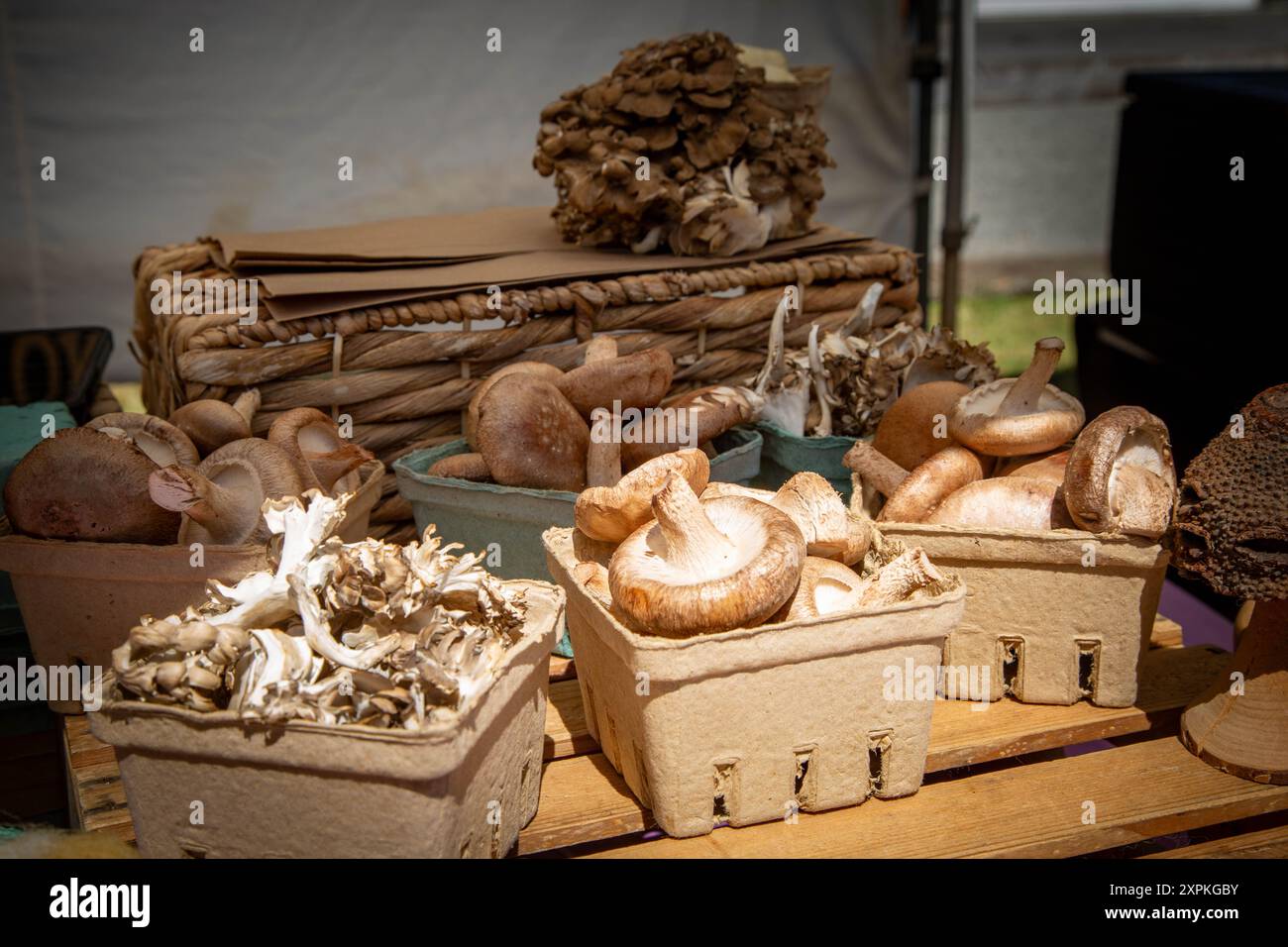 Mushroom varieties in produce stand at Trout Lake Farmer's Market Stock ...