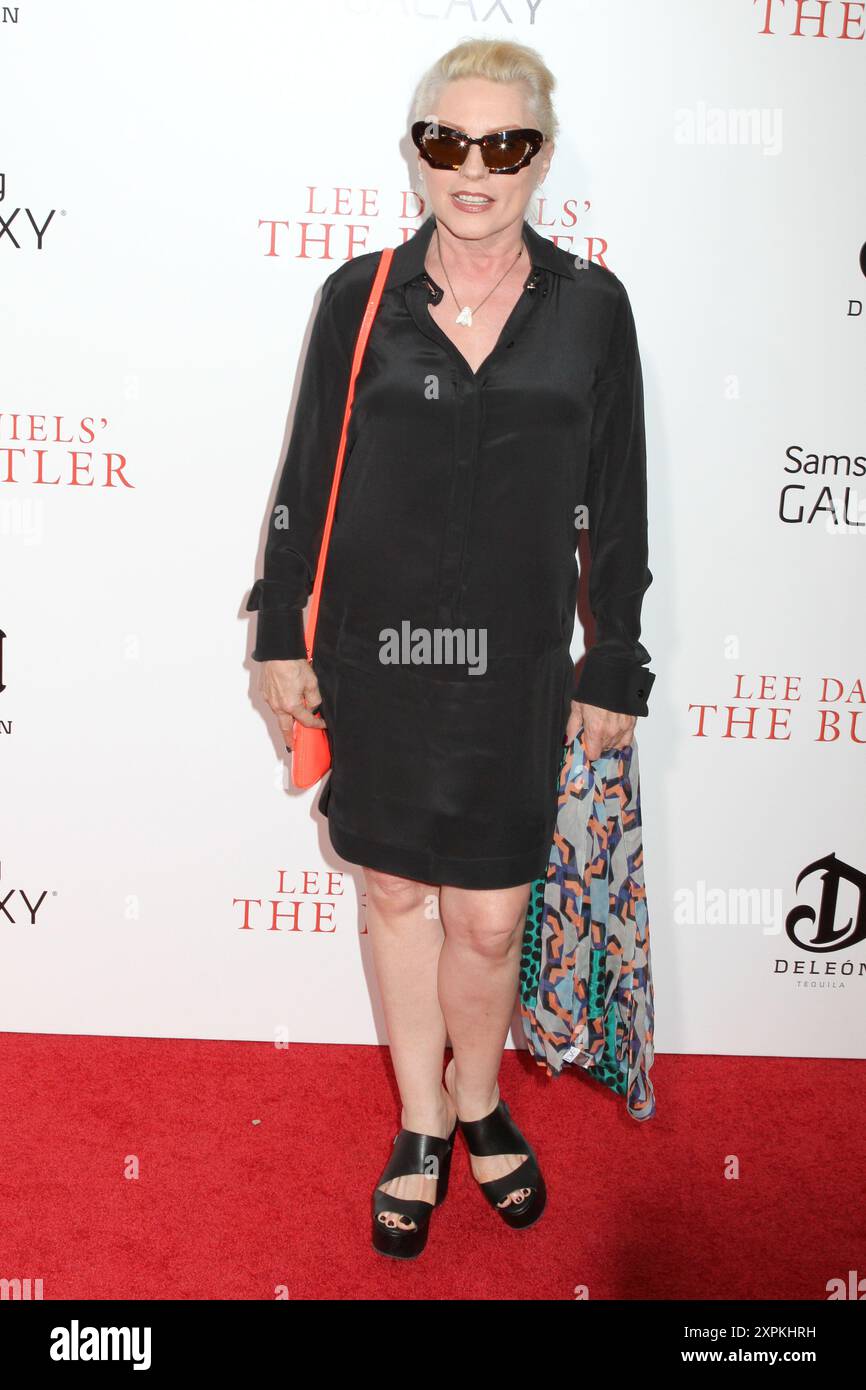 Debbie Harry attends the premiere of 'The Butler' at The Ziegfeld ...