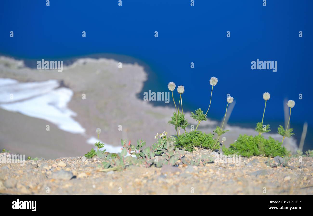 The amazing Crater Lake National Park at Watchman Overlook, Oregon OR ...