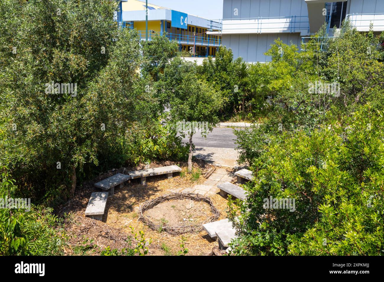 Outdoor seating arrangement amid lush greenery at the science faculty ...