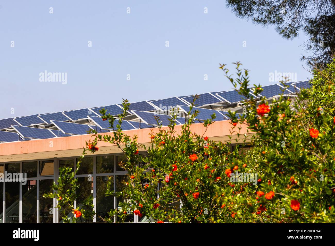 Solar panels installed on a building's roof, harmonizing with the ...
