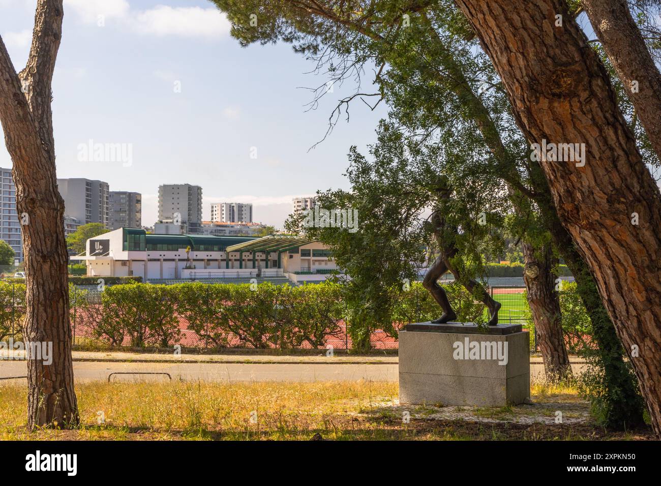Lisbon university stadium framed by pine trees with a statue in the ...