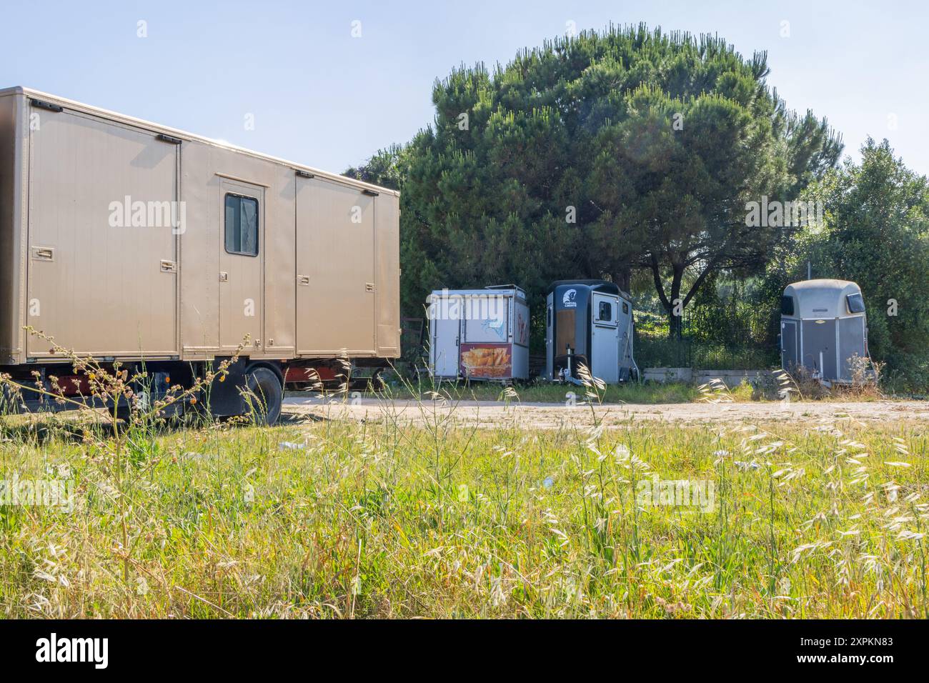 Variety of horse trailers parked in a field, illustrating different ...